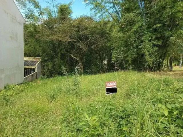Terreno / Lote para Venda em São José/SC Forquilhas
