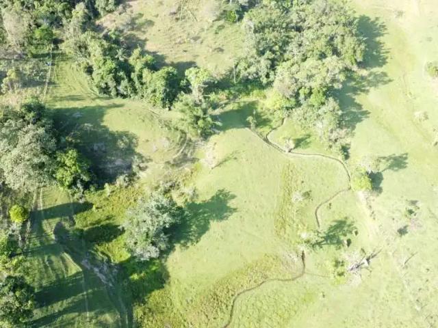 Terreno / Lote para Venda em São José/SC Forquilhas