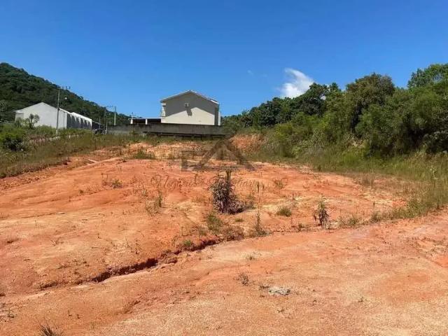 Terreno / Lote para Venda em São José/SC Forquilhas