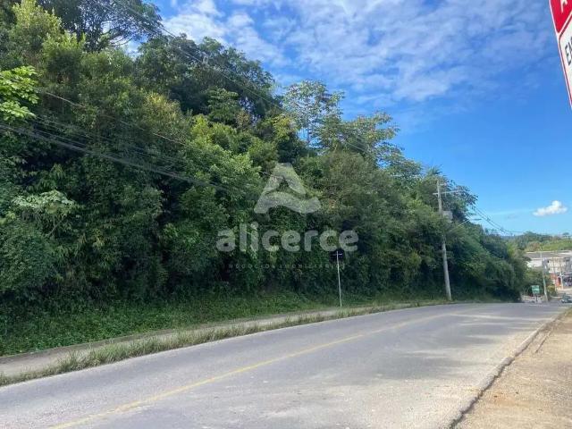 Terreno / Lote para Venda em São José/SC Forquilhas