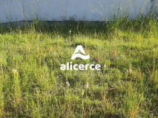 Terreno / Lote para Venda em São José/SC Forquilhas