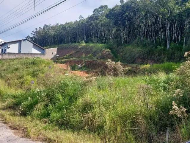 Terreno / Lote para Venda em São José/SC Forquilhas