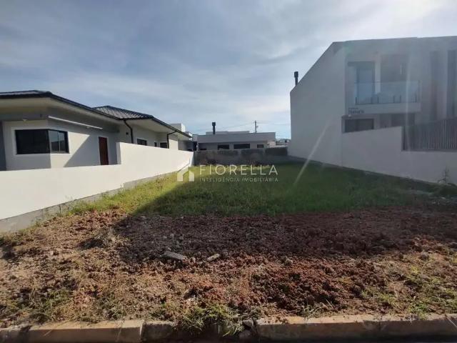Terreno / Lote para Venda em São José/SC Forquilhas