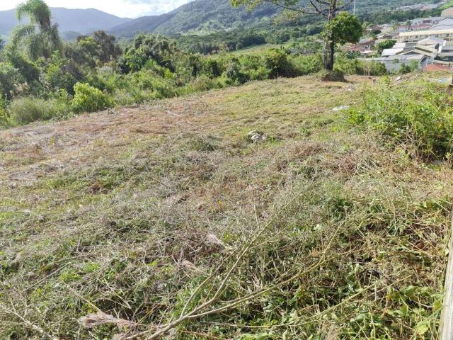 Terreno / Lote para Venda em São José/SC Forquilhas
