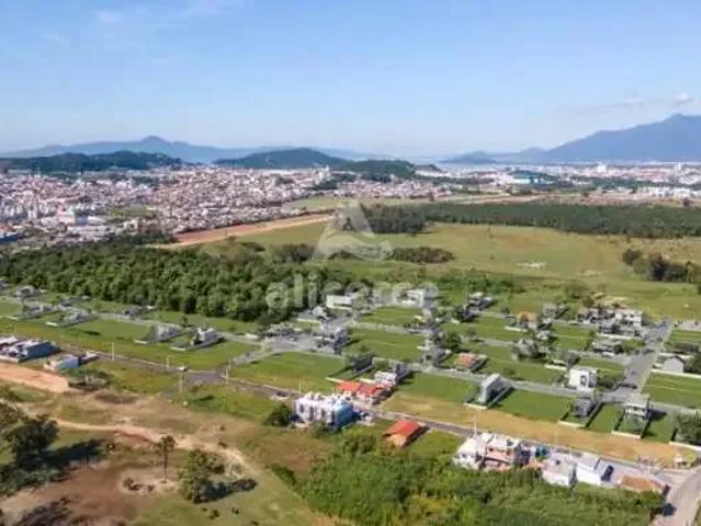 Terreno / Lote para Venda em São José/SC Forquilhas