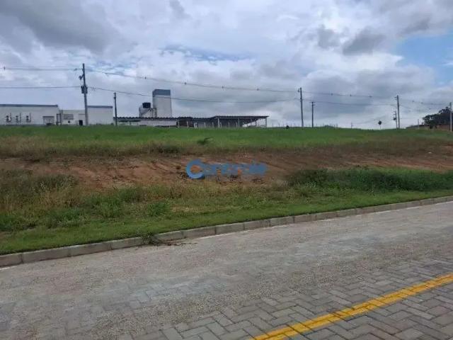 Terreno / Lote para Venda em São José/SC Forquilhas