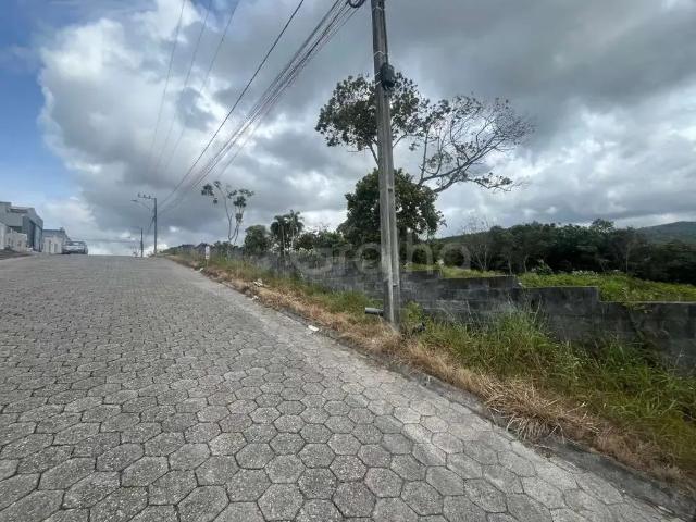 Terreno / Lote para Venda em São José/SC Forquilhas
