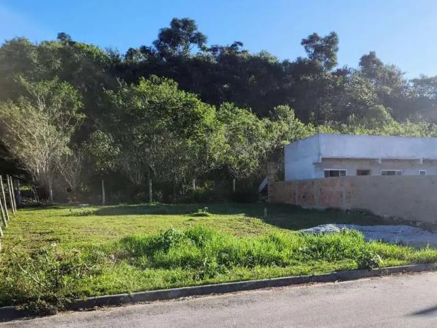 Terreno / Lote para Venda em São José/SC Forquilhas