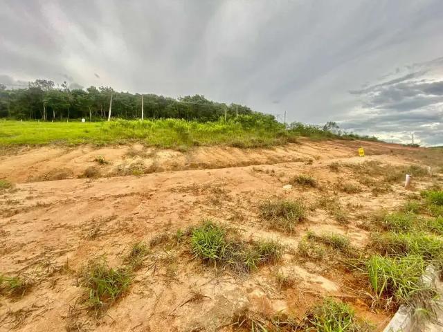Terreno / Lote para Venda em São José/SC Forquilhas