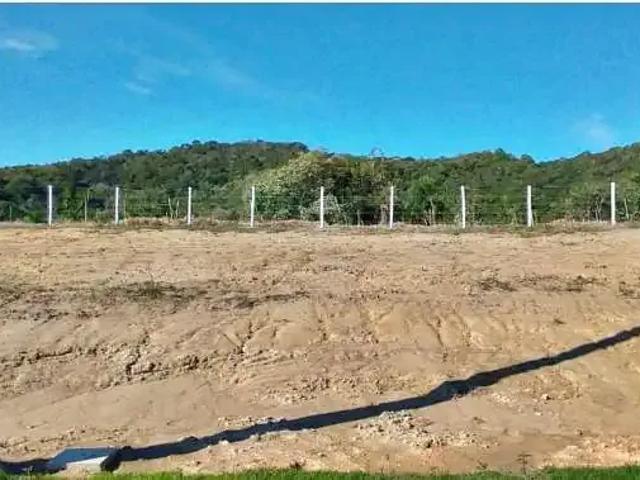 Terreno / Lote para Venda em São José/SC Forquilhas
