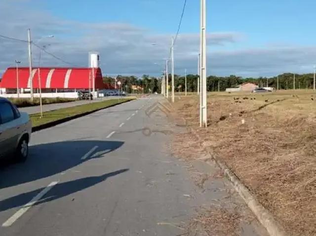Terreno / Lote para Venda em São José/SC Forquilhas