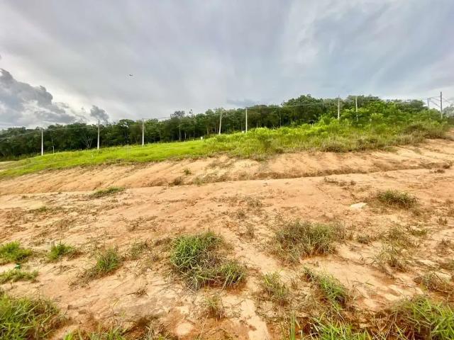 Terreno / Lote para Venda em São José/SC Forquilhas