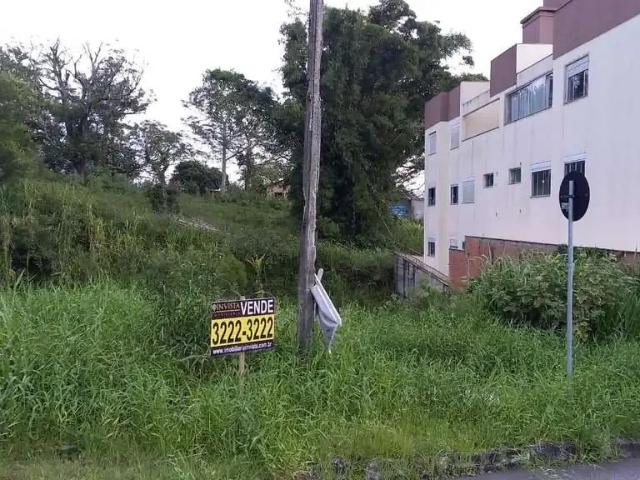 Terreno / Lote para Venda em São José/SC Forquilhinhas