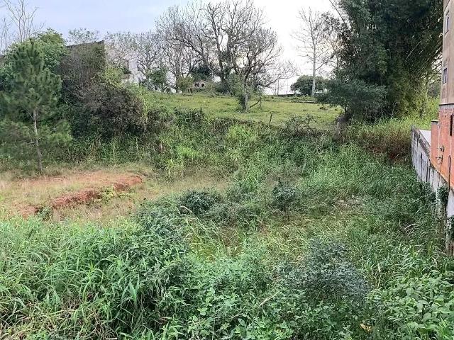 Terreno / Lote para Venda em São José/SC Forquilhinhas