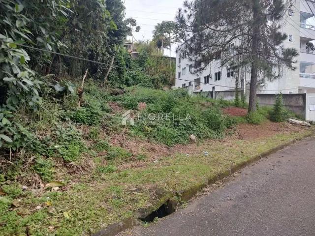 Terreno / Lote para Venda em São José/SC Forquilhinhas