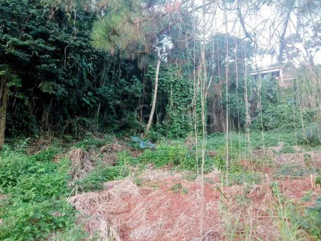 Terreno / Lote para Venda em São José/SC Forquilhinhas