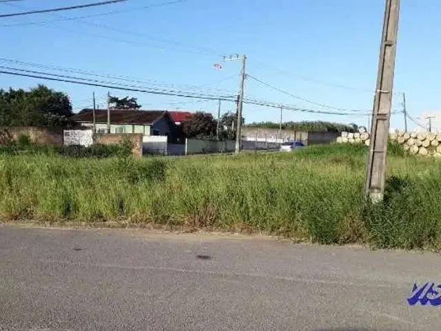 Terreno / Lote para Venda em São José/SC Ipiranga