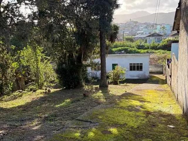 Terreno / Lote para Venda em São José/SC Ipiranga