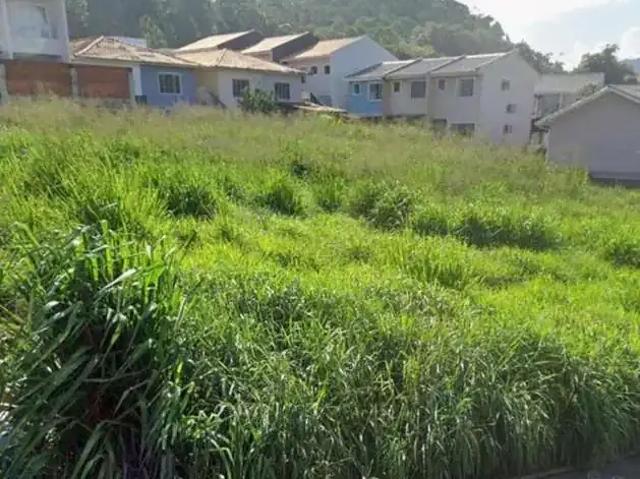 Terreno / Lote para Venda em São José/SC Jardim Botânico