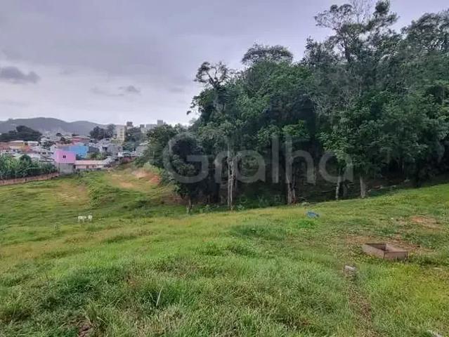Terreno / Lote para Venda em São José/SC Picadas do Sul