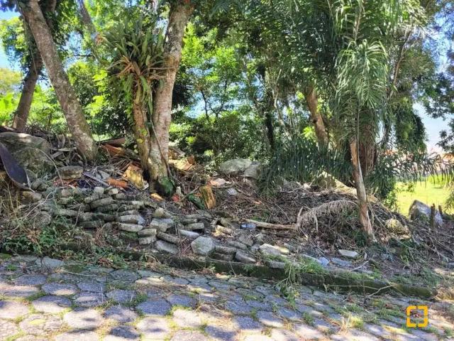Terreno / Lote para Venda em São José/SC Ponta de Baixo