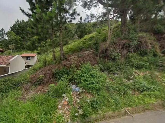 Terreno / Lote para Venda em São José/SC Potecas