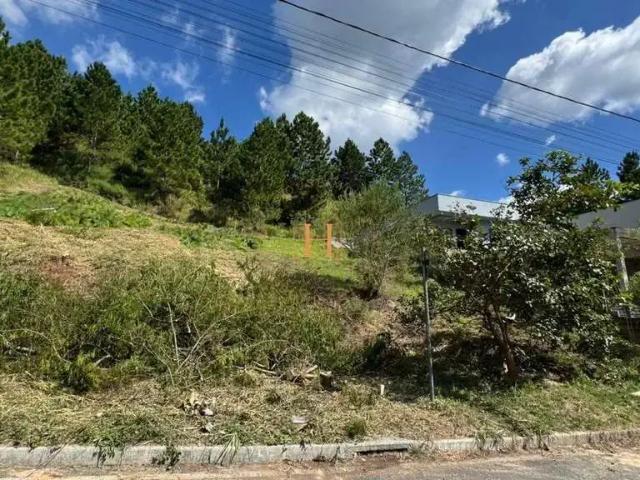 Terreno / Lote para Venda em São José/SC Potecas