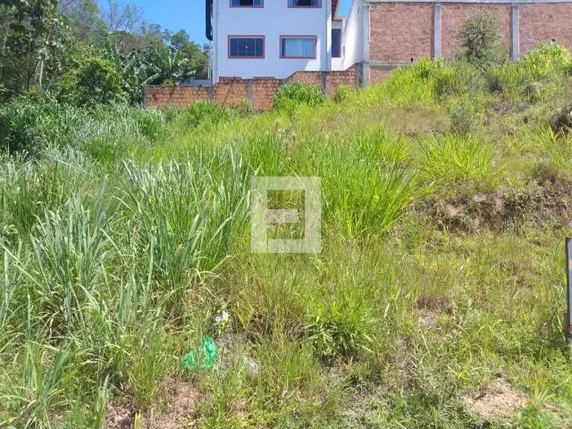 Terreno / Lote para Venda em São José/SC Potecas