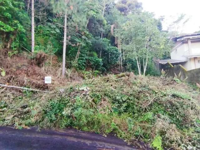 Terreno / Lote para Venda em São José/SC Potecas