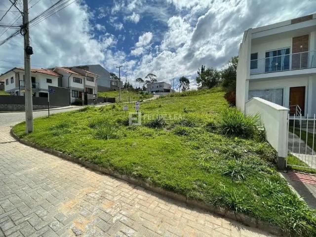 Terreno / Lote para Venda em São José/SC Potecas