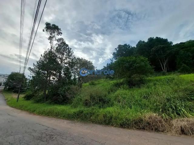 Terreno / Lote para Venda em São José/SC Potecas