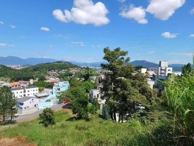 Terreno / Lote para Venda em São José/SC Potecas