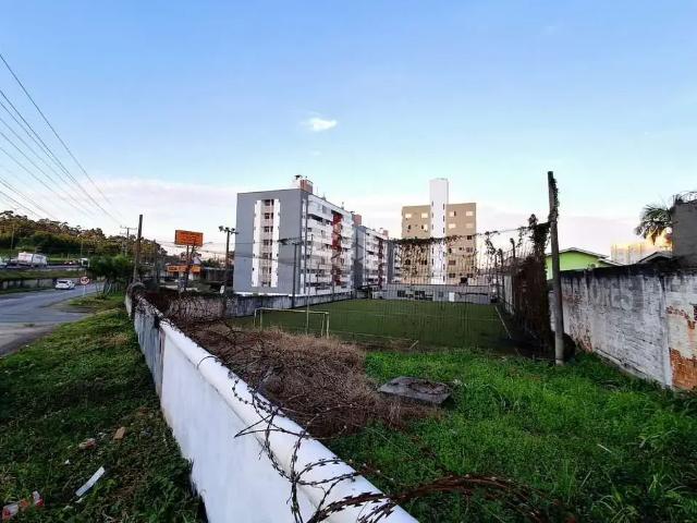 Terreno / Lote para Venda em São José/SC Praia Comprida