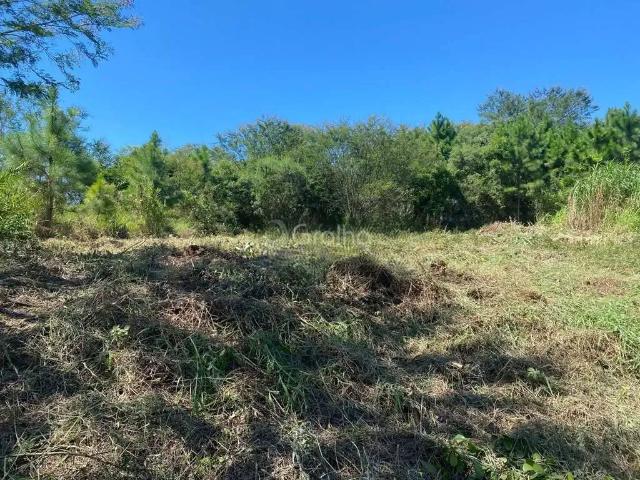 Terreno / Lote para Venda em São José/SC Roçado