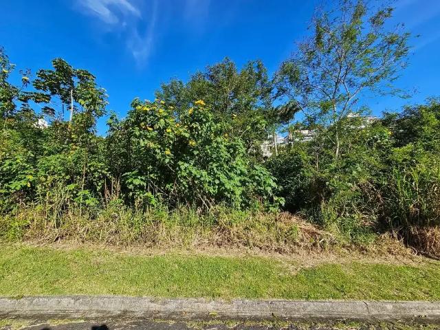 Terreno / Lote para Venda em São José/SC Roçado