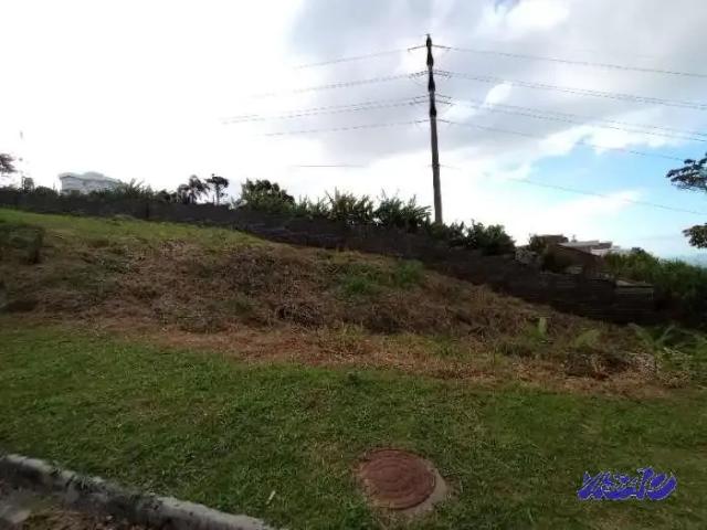 Terreno / Lote para Venda em São José/SC Roçado