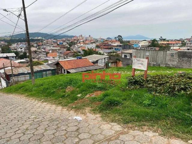 Terreno / Lote para Venda em São José/SC Serraria