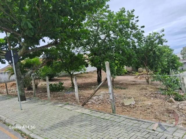 Terreno / Lote para Venda em São José/SC Serraria