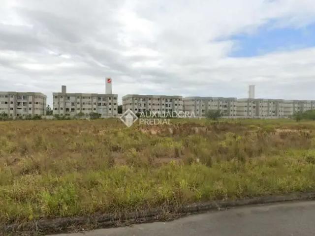 Terreno / Lote para Venda em São José/SC Sertão do Maruim