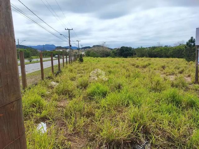 Terreno / Lote para Venda em São José/SC Sertão do Maruim