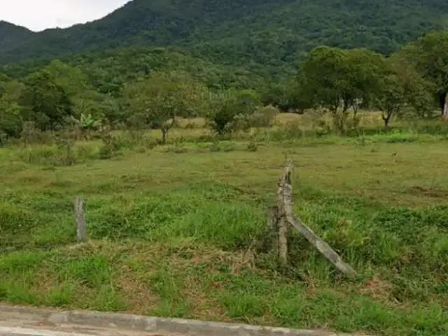 Terreno / Lote para Venda em São José/SC Sertão do Maruim
