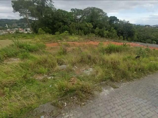 Terreno / Lote para Venda em São José/SC Sertão do Maruim