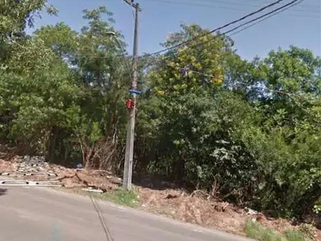 Terreno / Lote para Venda em São Leopoldo/RS Arroio da Manteiga