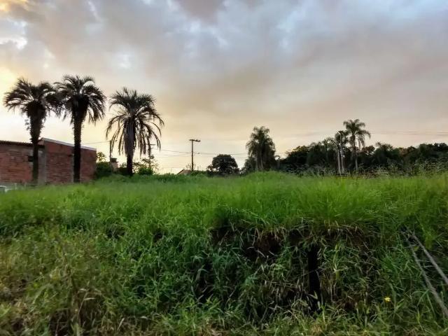 Terreno / Lote para Venda em São Leopoldo/RS Arroio da Manteiga