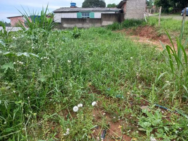 Terreno / Lote para Venda em São Leopoldo/RS Arroio da Manteiga