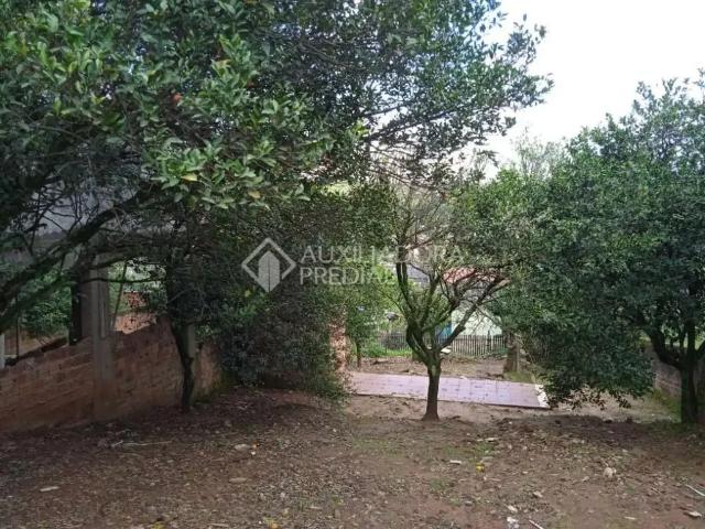 Terreno / Lote para Venda em São Leopoldo/RS Arroio da Manteiga