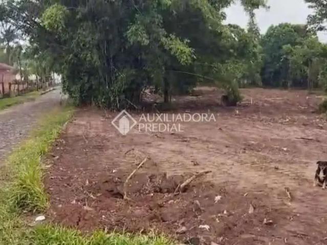 Terreno / Lote para Venda em São Leopoldo/RS Arroio da Manteiga