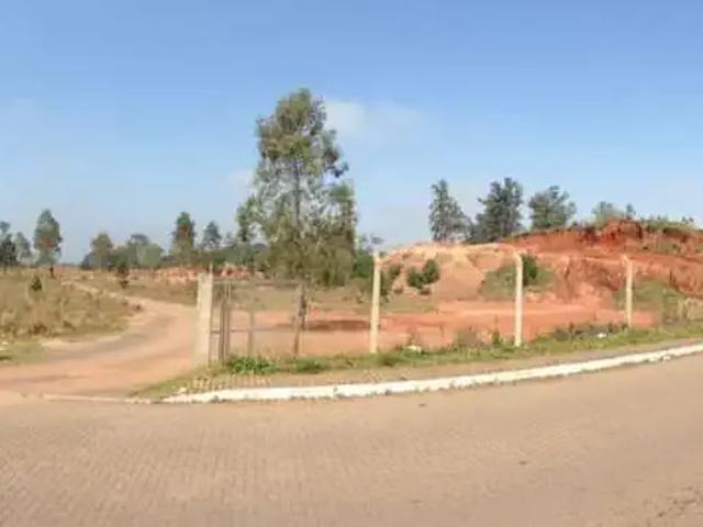 Terreno / Lote para Venda em São Leopoldo/RS Arroio da Manteiga