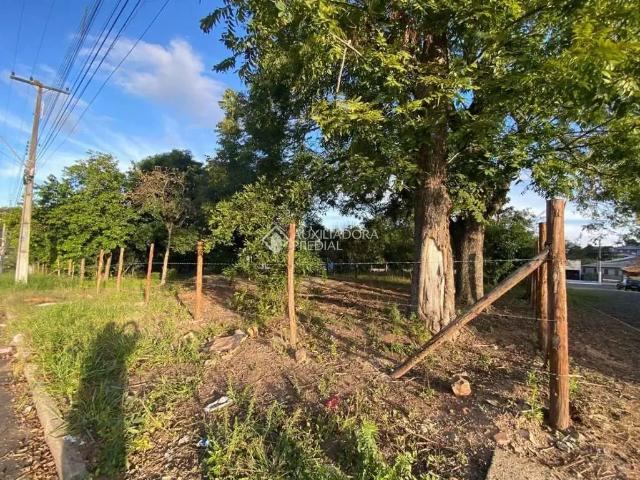 Terreno / Lote para Venda em São Leopoldo/RS Arroio da Manteiga