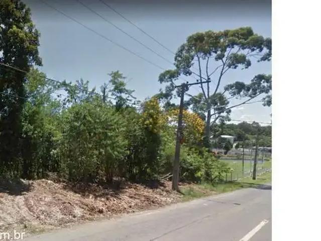 Terreno / Lote para Venda em São Leopoldo/RS Arroio da Manteiga